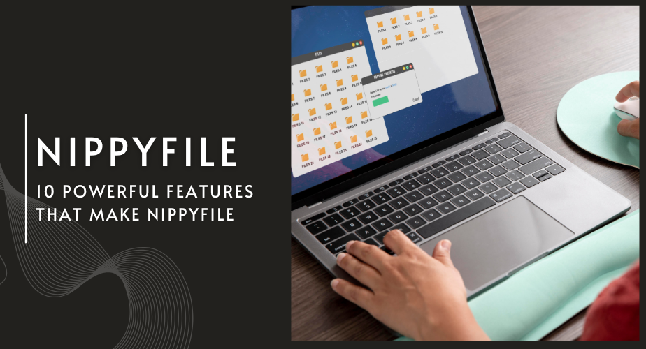 10 Powerful Features That Make Nippyfile a Must-Try File Hosting Platform - Trending Canada